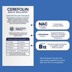 Cerefolin vitamin B12 supports cognitive function