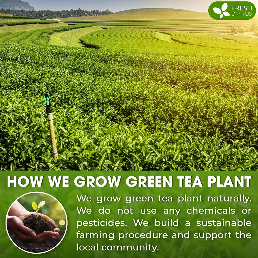 ceremonial grade green tea powder