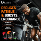 Cerus Performance energy and recovery mix