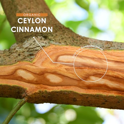Ceylon cinnamon and elderberry synergy