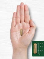 Ceylon cinnamon capsules for daily health