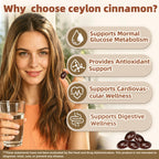 Ceylon cinnamon capsules for digestion