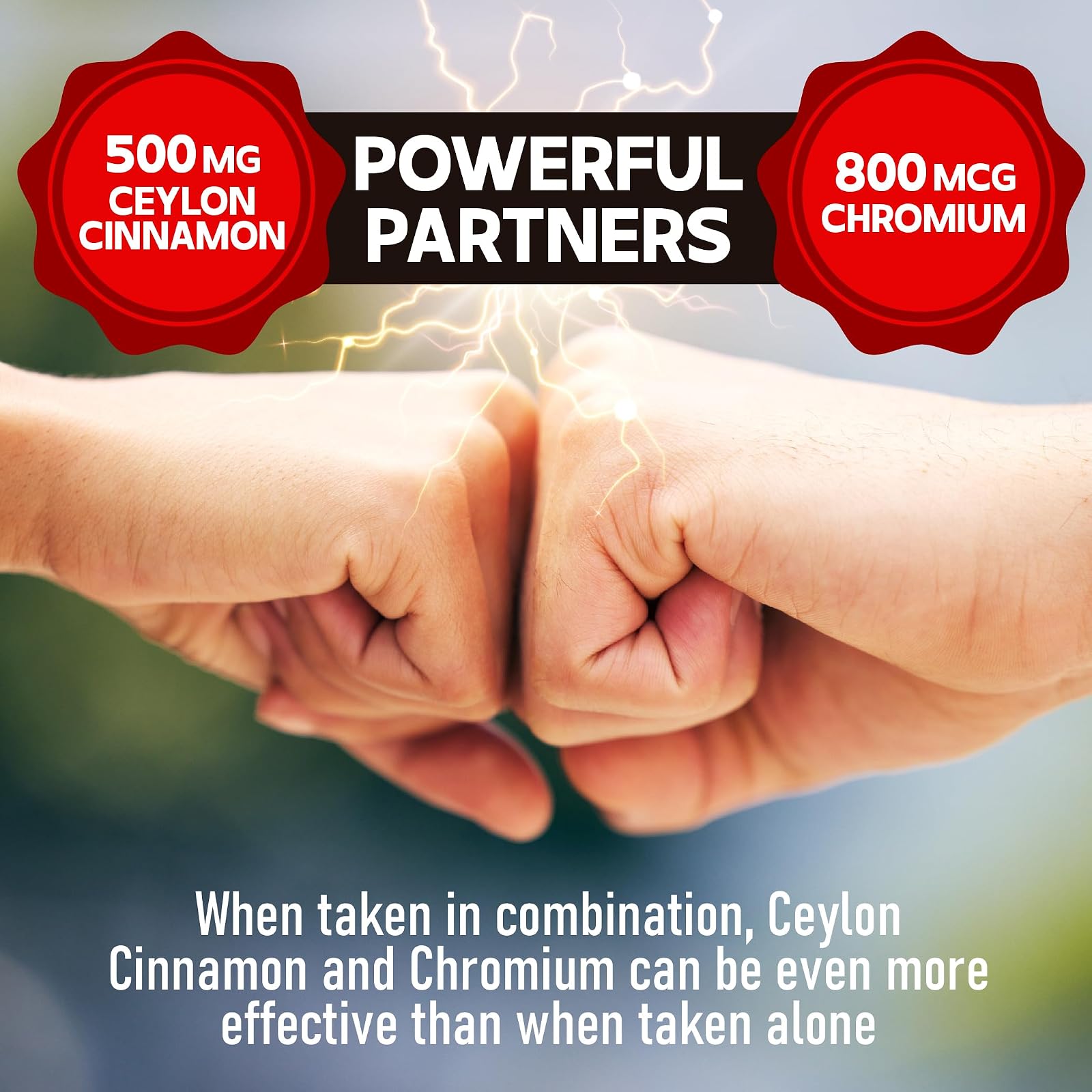 ceylon cinnamon capsules for wellness