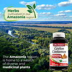 Ceylon cinnamon for antioxidant support