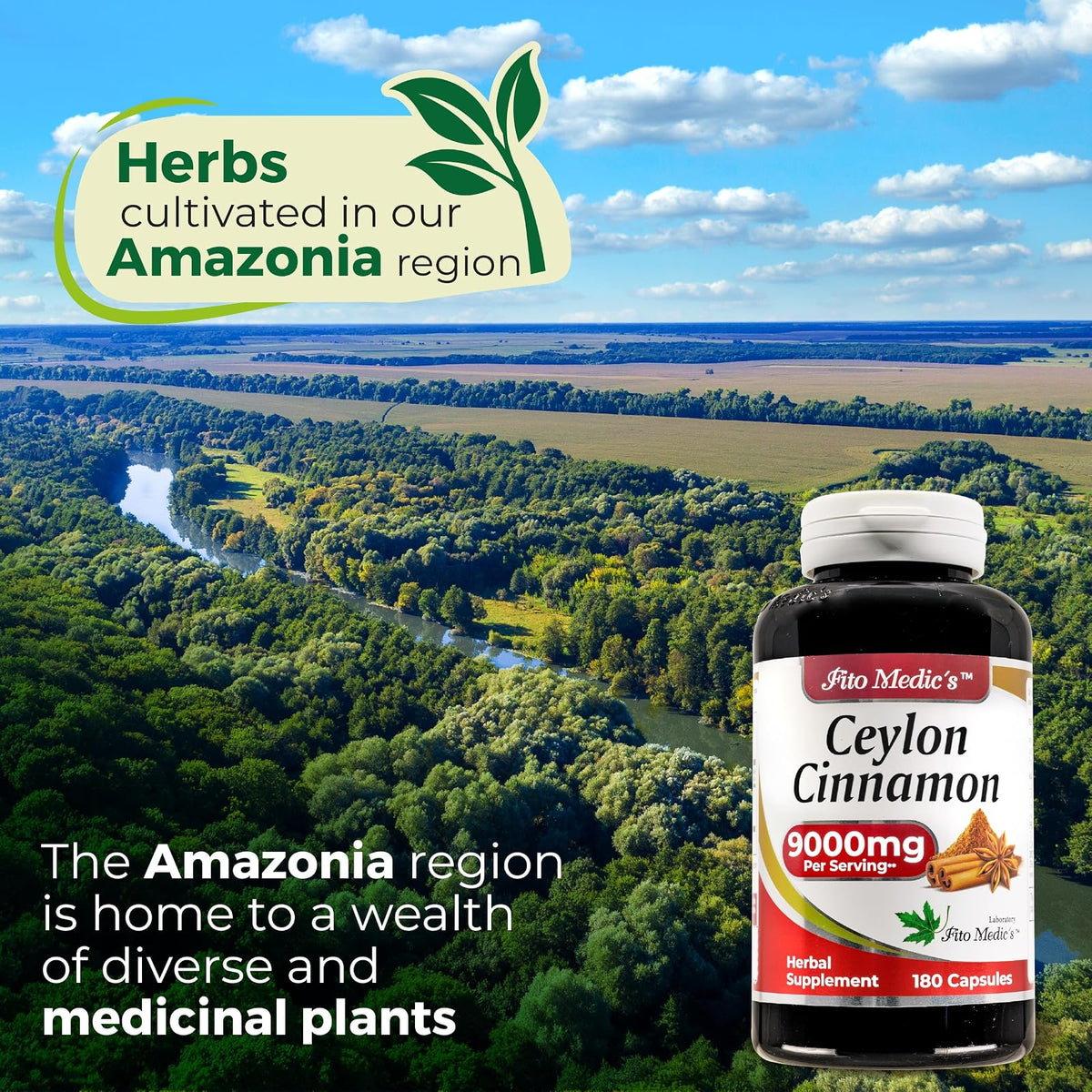 Ceylon cinnamon for antioxidant support