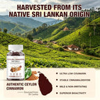 Ceylon Cinnamon for blood sugar support