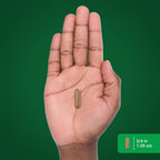 Ceylon cinnamon for daily health support