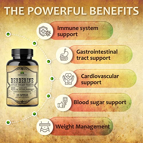 ceylon cinnamon for digestive health