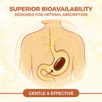 Ceylon cinnamon for digestive health