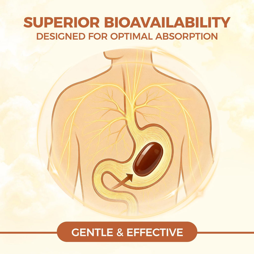 Ceylon cinnamon for digestive health