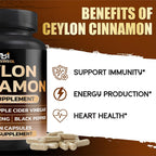 Ceylon cinnamon for digestive support