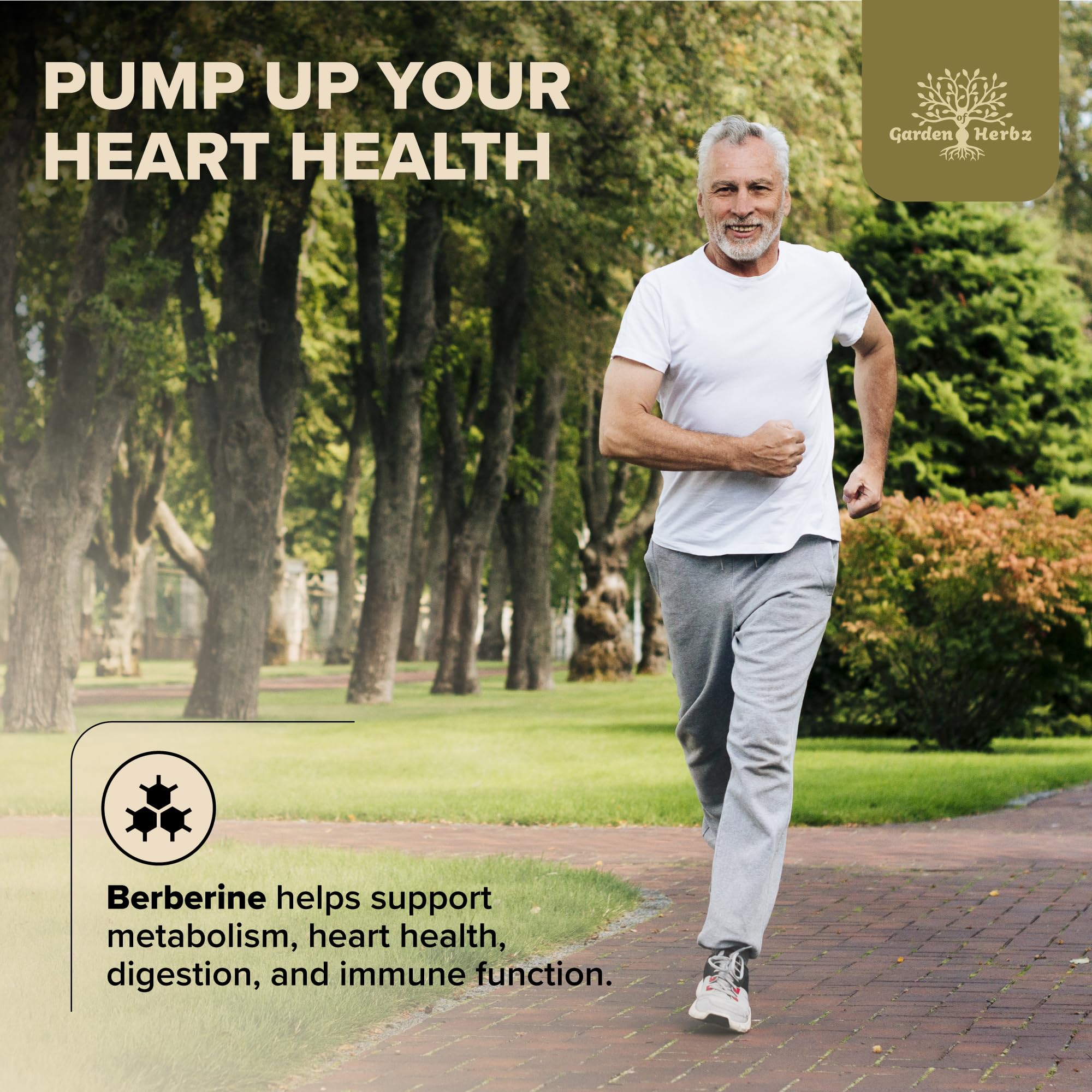ceylon cinnamon for enhanced metabolism
