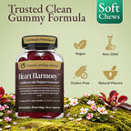 Ceylon cinnamon gummies for healthy digestion