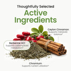 Ceylon cinnamon health benefits