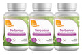 Ceylon cinnamon metabolism support capsules