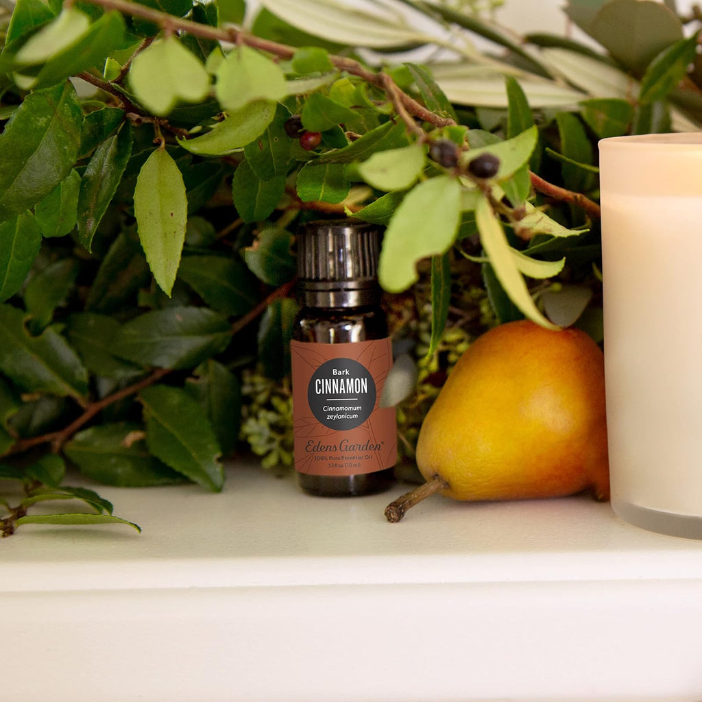 Ceylon cinnamon oil for aromatherapy
