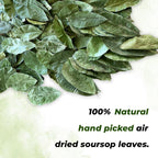 Ceylonflavors dried soursop benefits