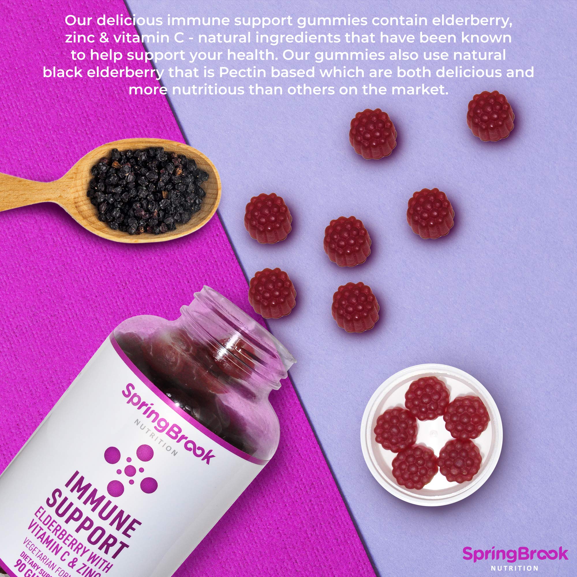 cGMP compliant elderberry supplements
