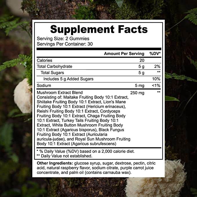 Chaga and Cordyceps for energy support