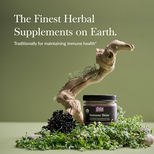 chaga and elderberry immune booster