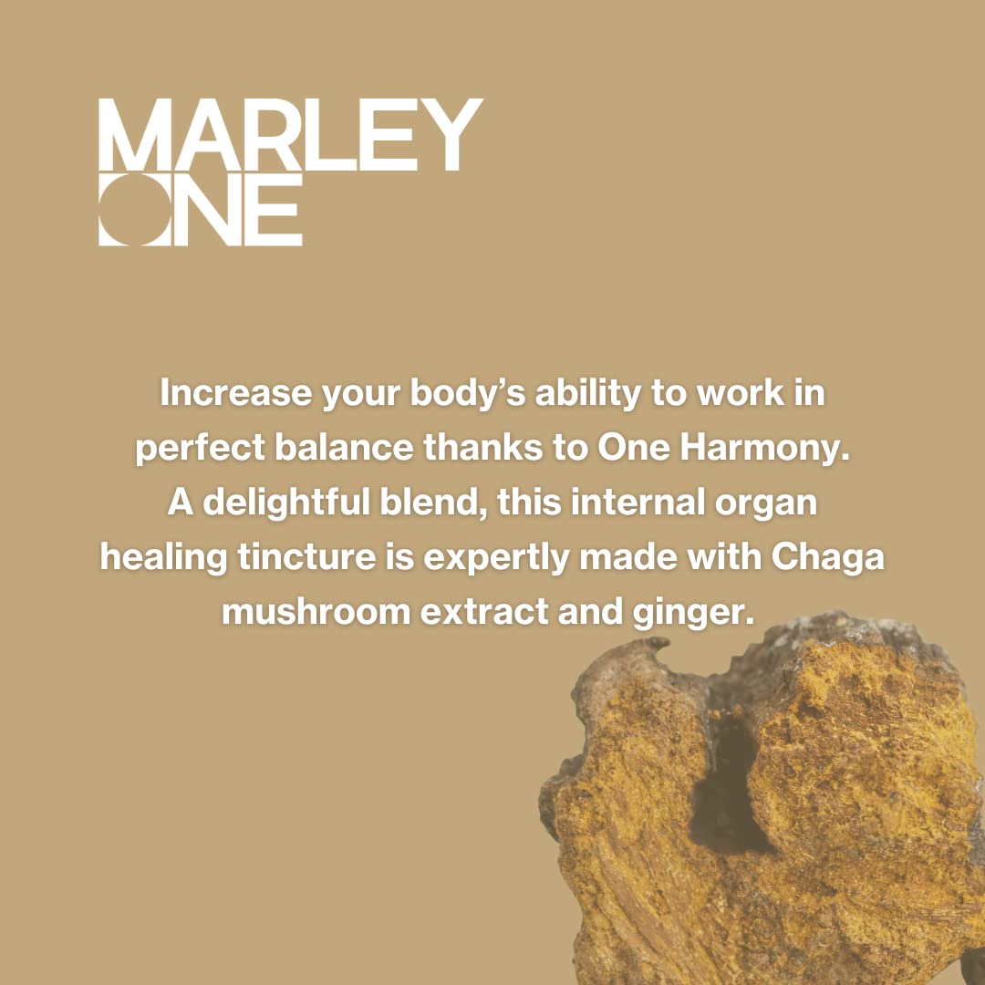 Chaga and ginger for vitality