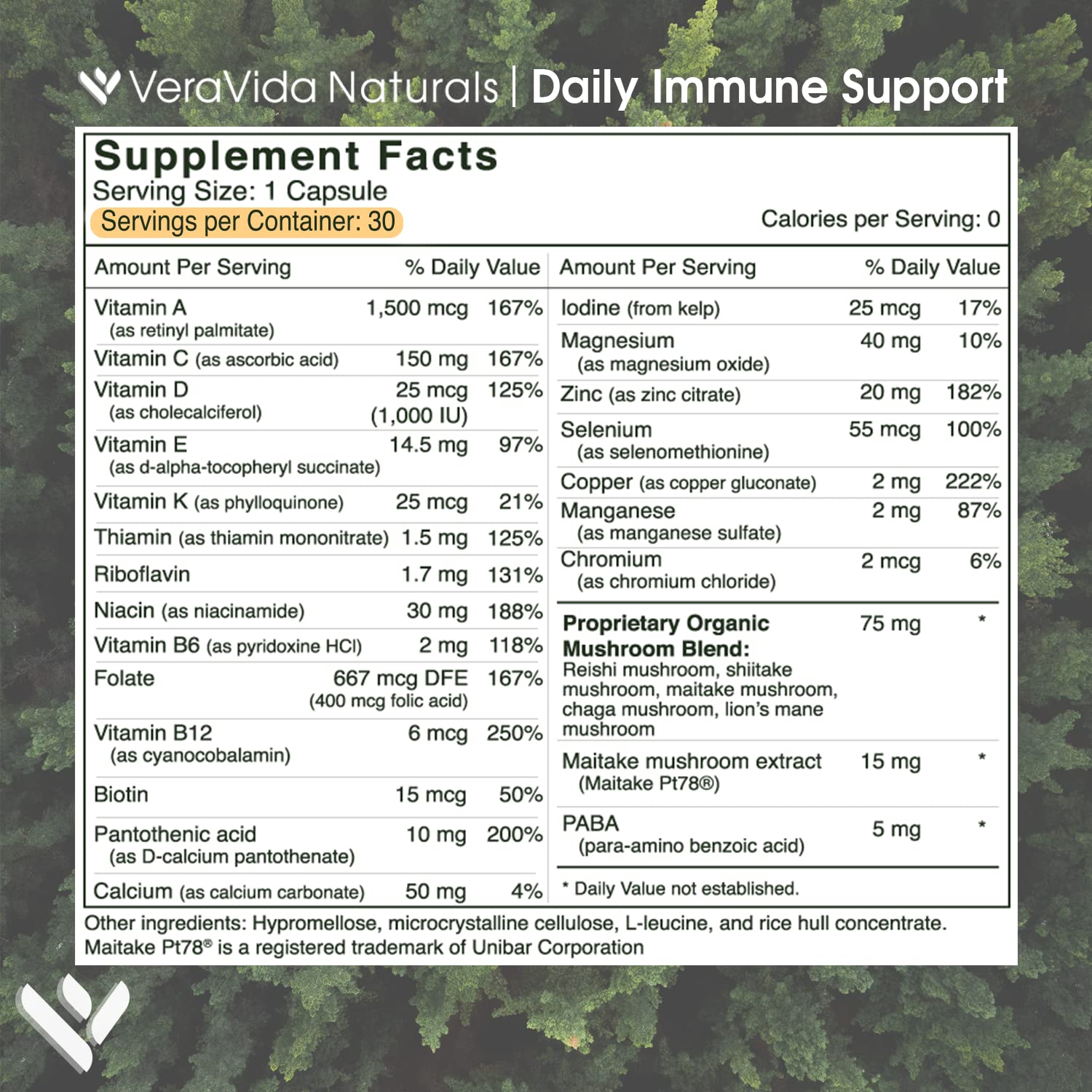 Chaga and Lion's Mane health benefits