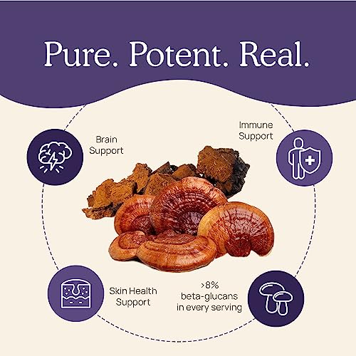 Chaga and Reishi for stress relief