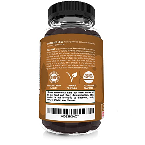 Chaga and Reishi mushroom benefits in gummies