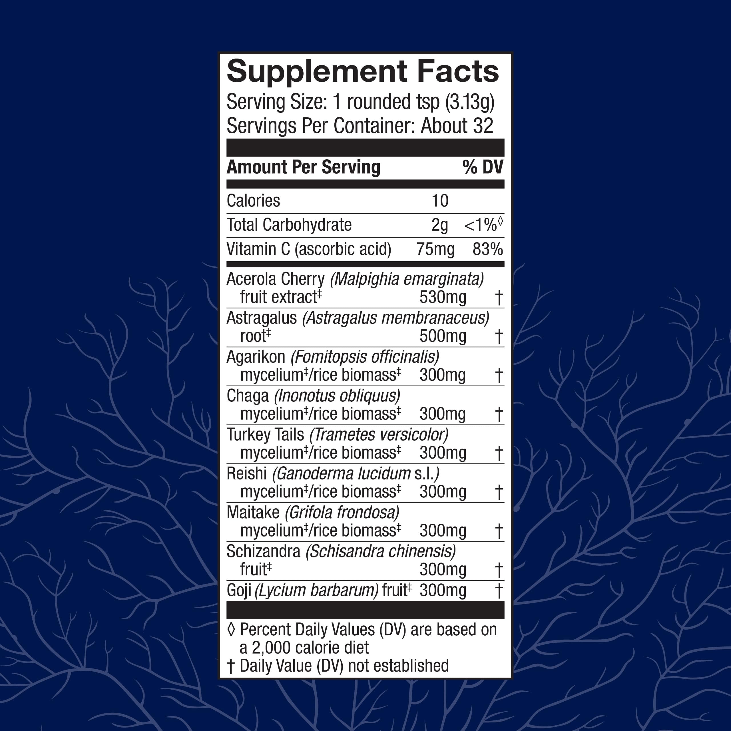 Chaga and reishi mushroom blend