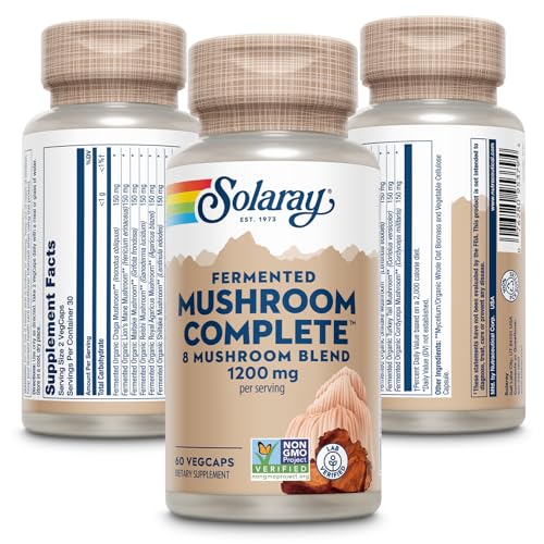 Chaga and Reishi mushrooms