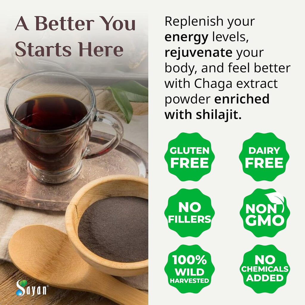chaga and shilajit for better focus
