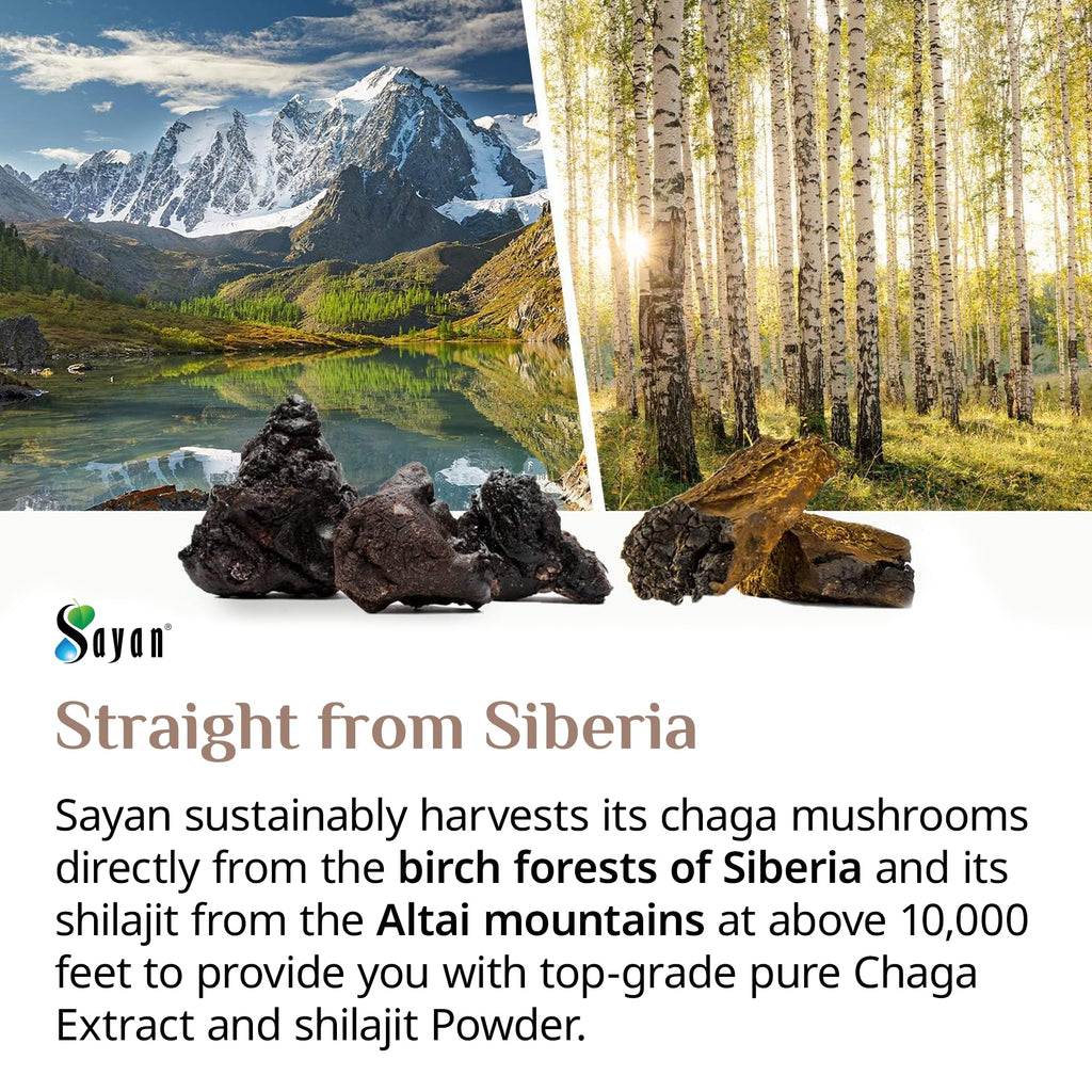 Chaga and Shilajit for wellness