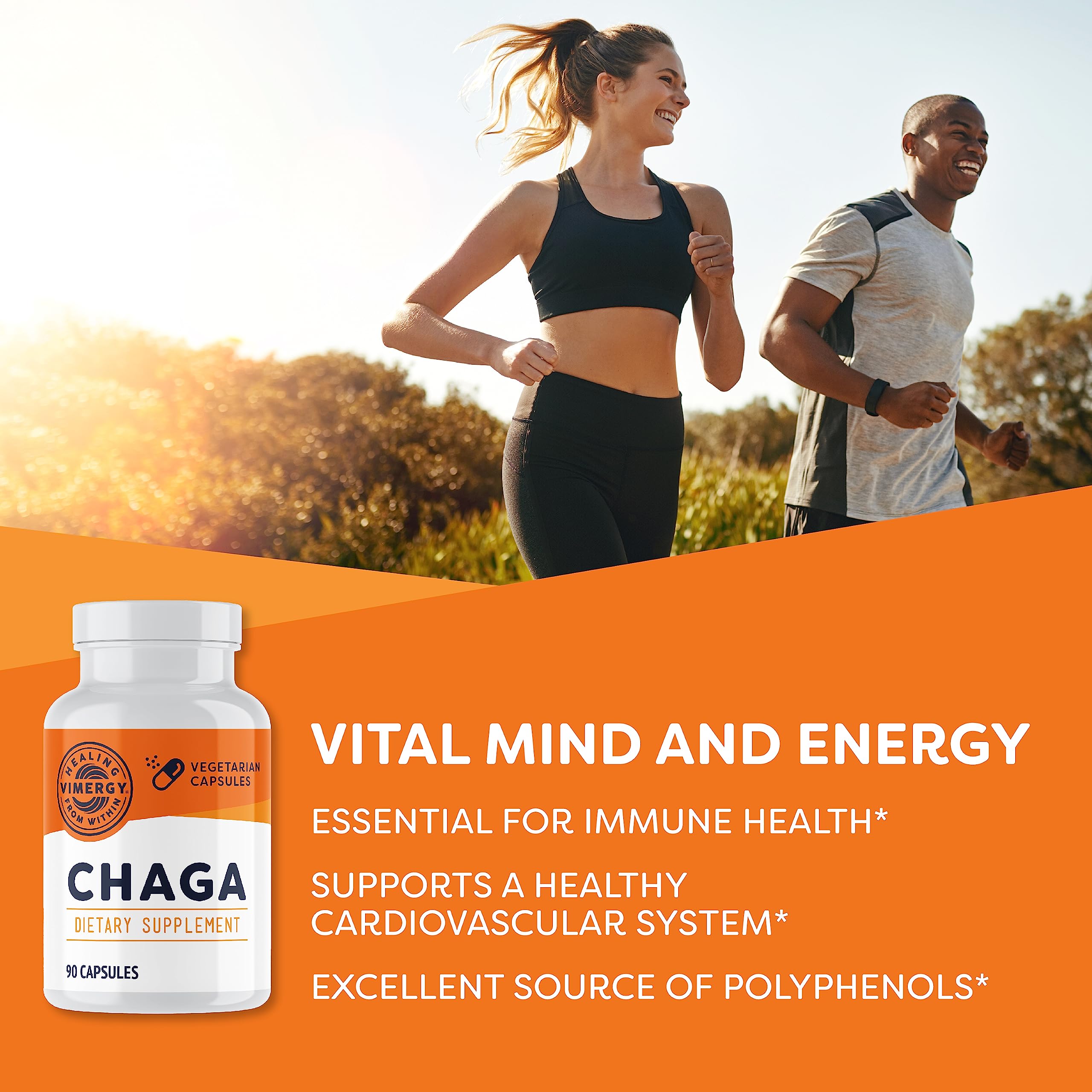 Chaga capsules for cardiovascular support