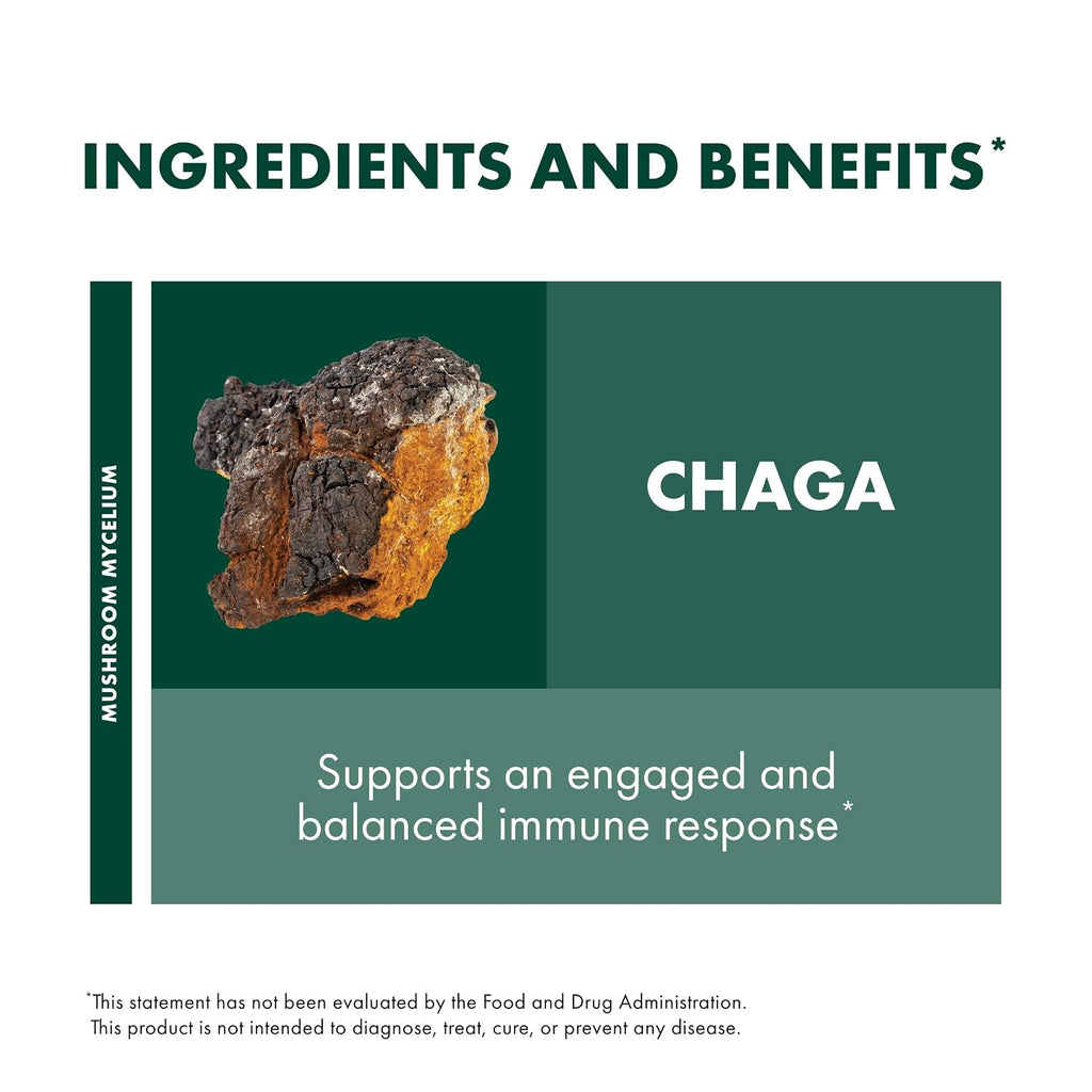 chaga capsules for daily energy boost