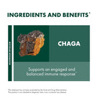 chaga capsules for daily energy boost