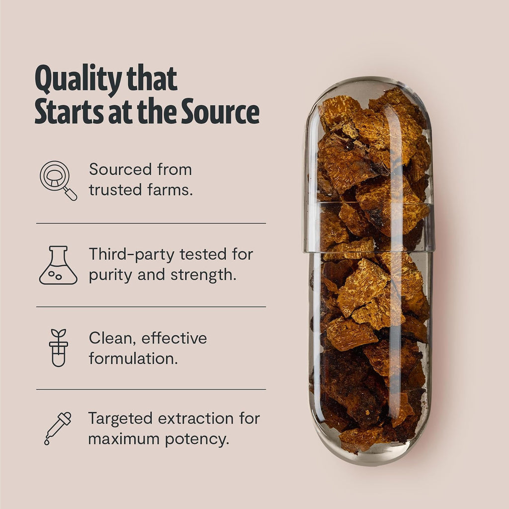 chaga capsules for daily health