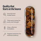 chaga capsules for daily health