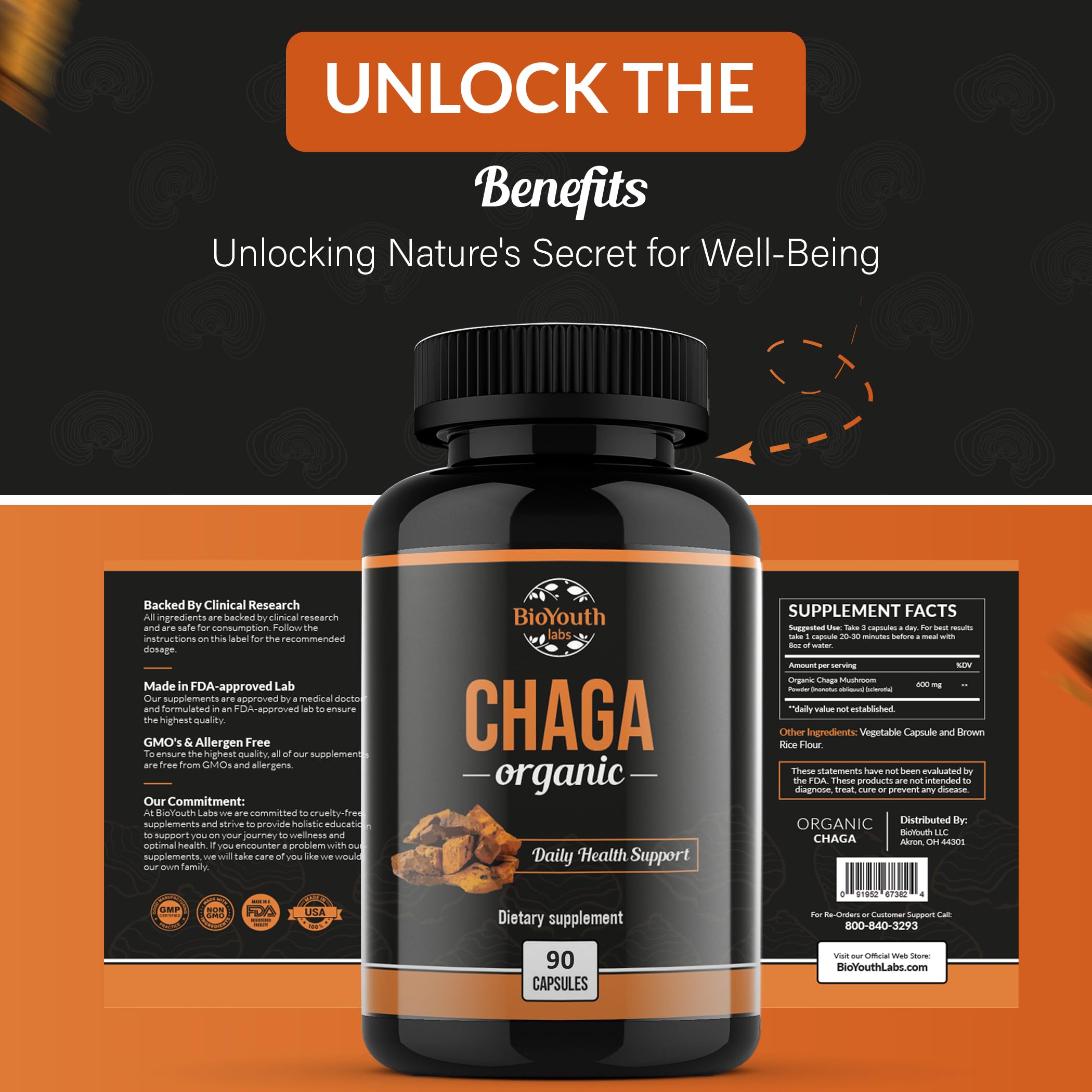 Chaga capsules for enhanced immune function