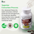 chaga capsules for stress relief