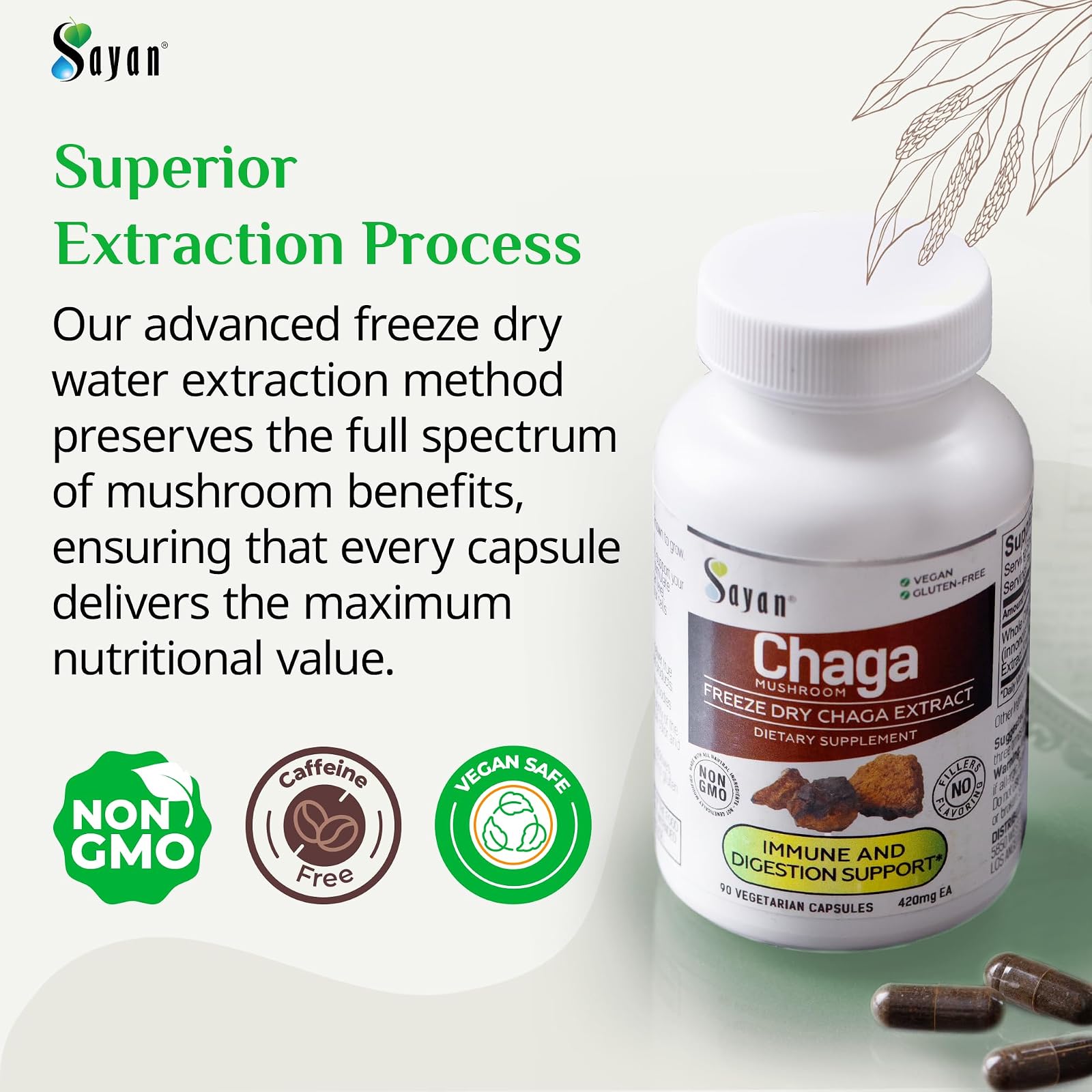 chaga capsules for stress relief