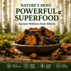 chaga chunks for daily nutrition