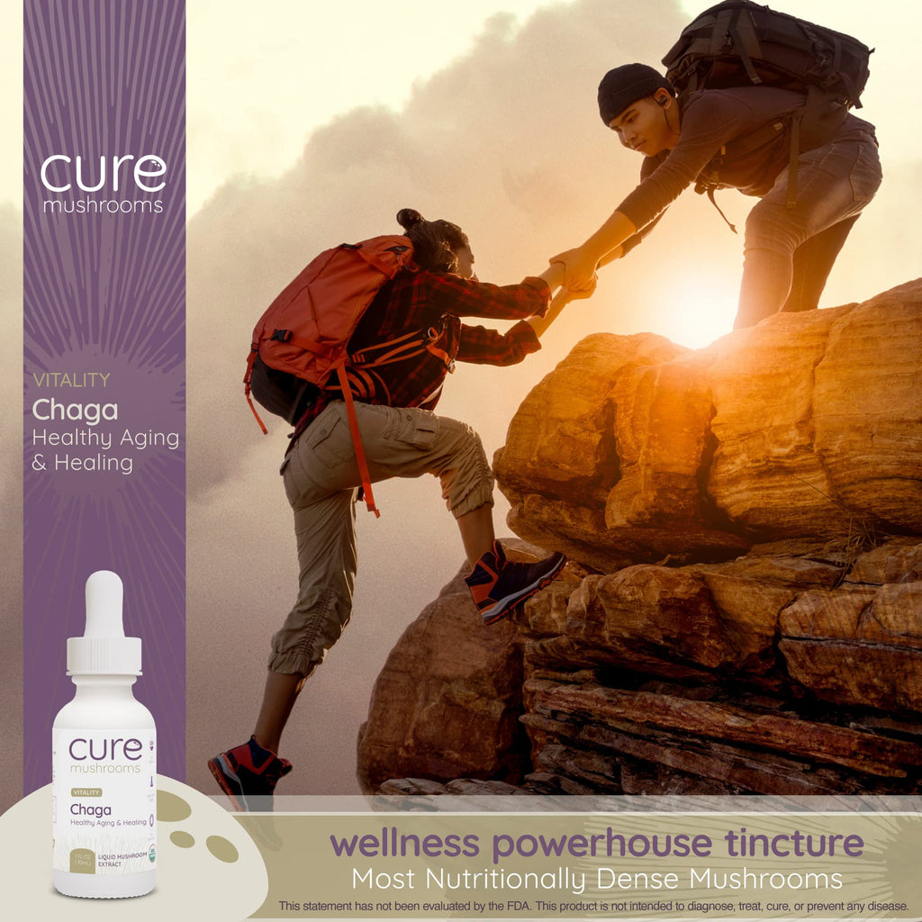 chaga drops for immune support