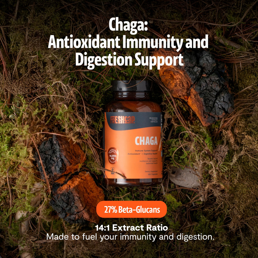 chaga extract capsules with beta-glucans