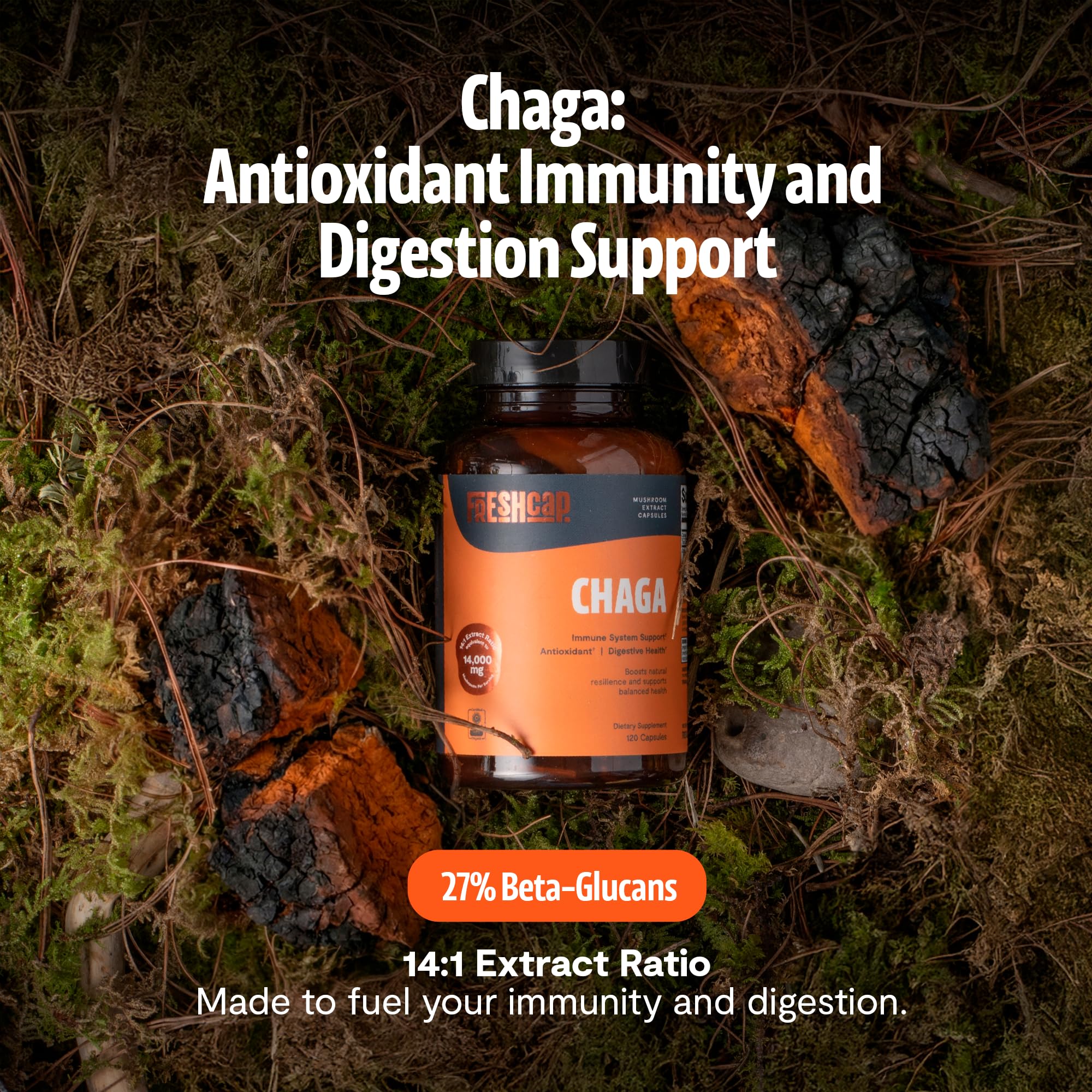 chaga extract capsules with beta-glucans