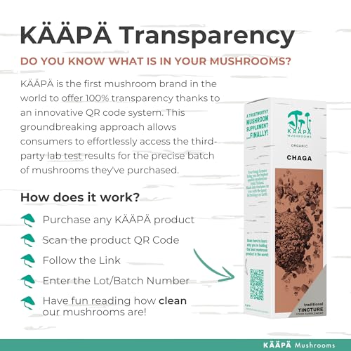 Chaga extract for antioxidant support