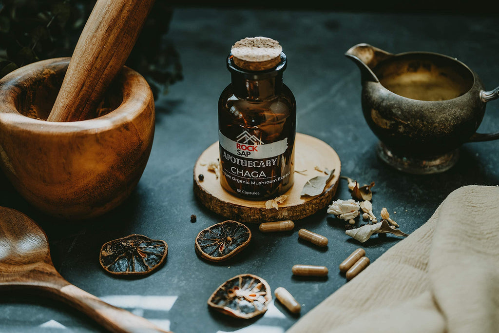 chaga extract for balanced energy