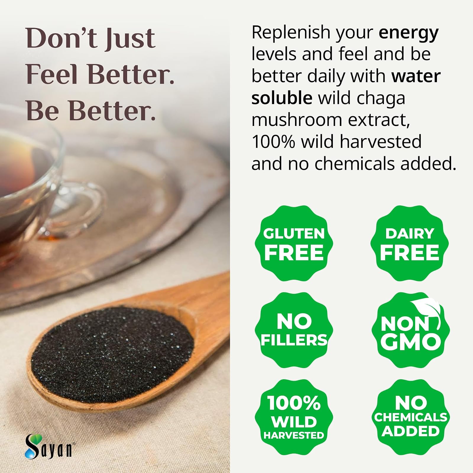 Chaga extract for daily health