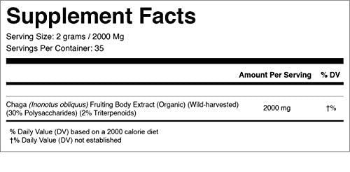 Chaga extract for herbal supplementation