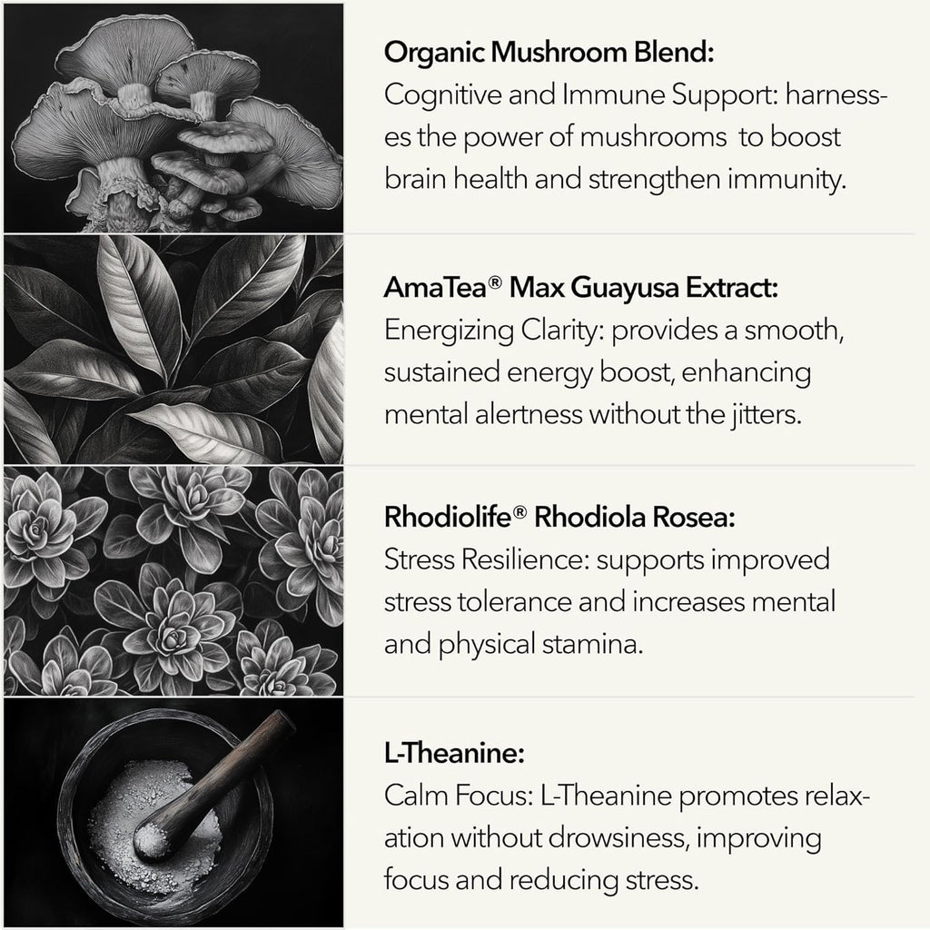 Chaga extract for immune support