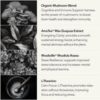 Chaga extract for immune support